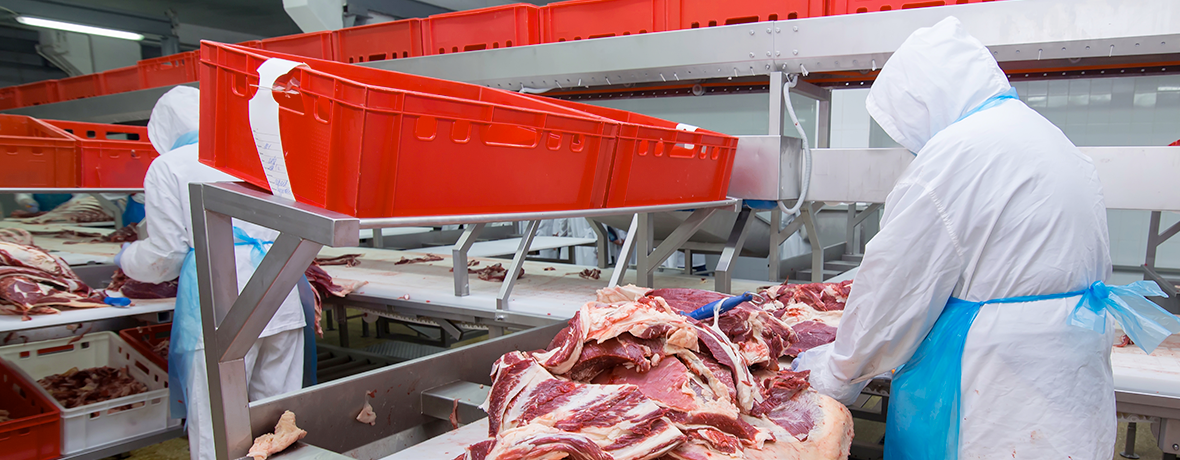 We Purchase Raw Beef Fat - Competitive Prices | PEPITO